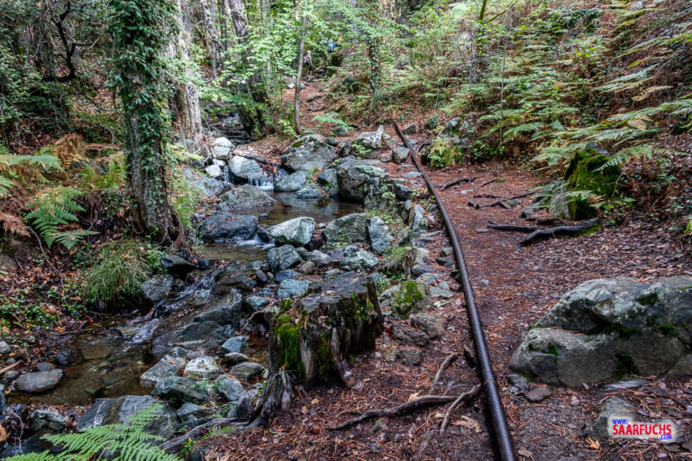 Geocaching & Wandern: Rund um die Kaledonia-Wasserfälle » Saarfuchs on ...