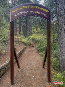 Geocaching & Wandern: Rund um die Kaledonia-Wasserfälle » Saarfuchs on ...